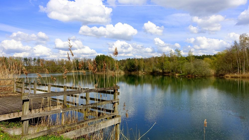 Natur erleben Foto & Bild | landschaft, lebensräume, projekte Bilder ...