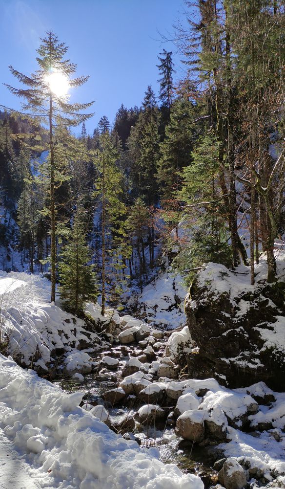 Natur im Winter in den Alpen Foto & Bild | jahreszeiten, winter, landschaft Bilder auf fotocommunity