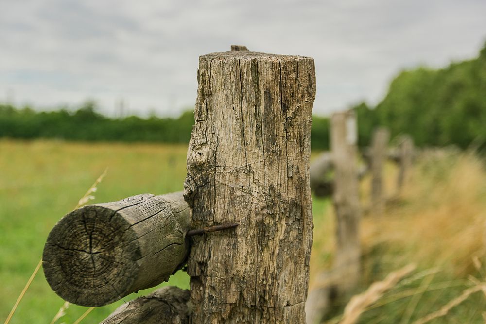 Natur in Purer Form Foto & Bild | natur Bilder auf fotocommunity