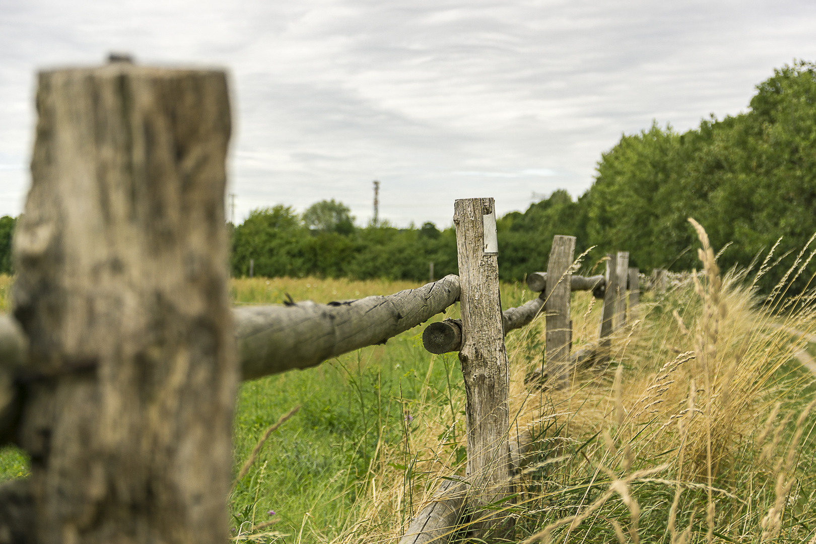 Natur in Purer Form Foto & Bild | natur Bilder auf fotocommunity
