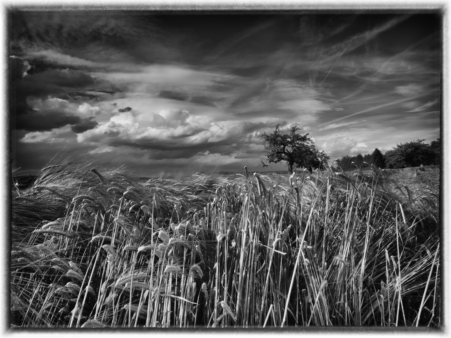 Natur Monochrom Foto & Bild | landschaft, monochrom, natur-kreativ ...