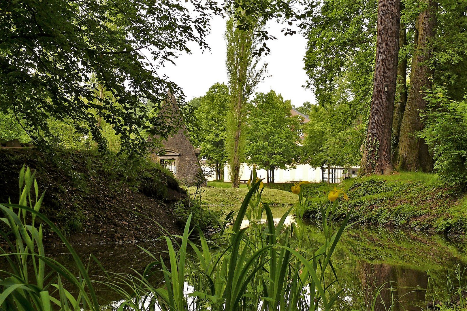 Natur pur Foto & Bild | landschaft, sonstiges, garten ...