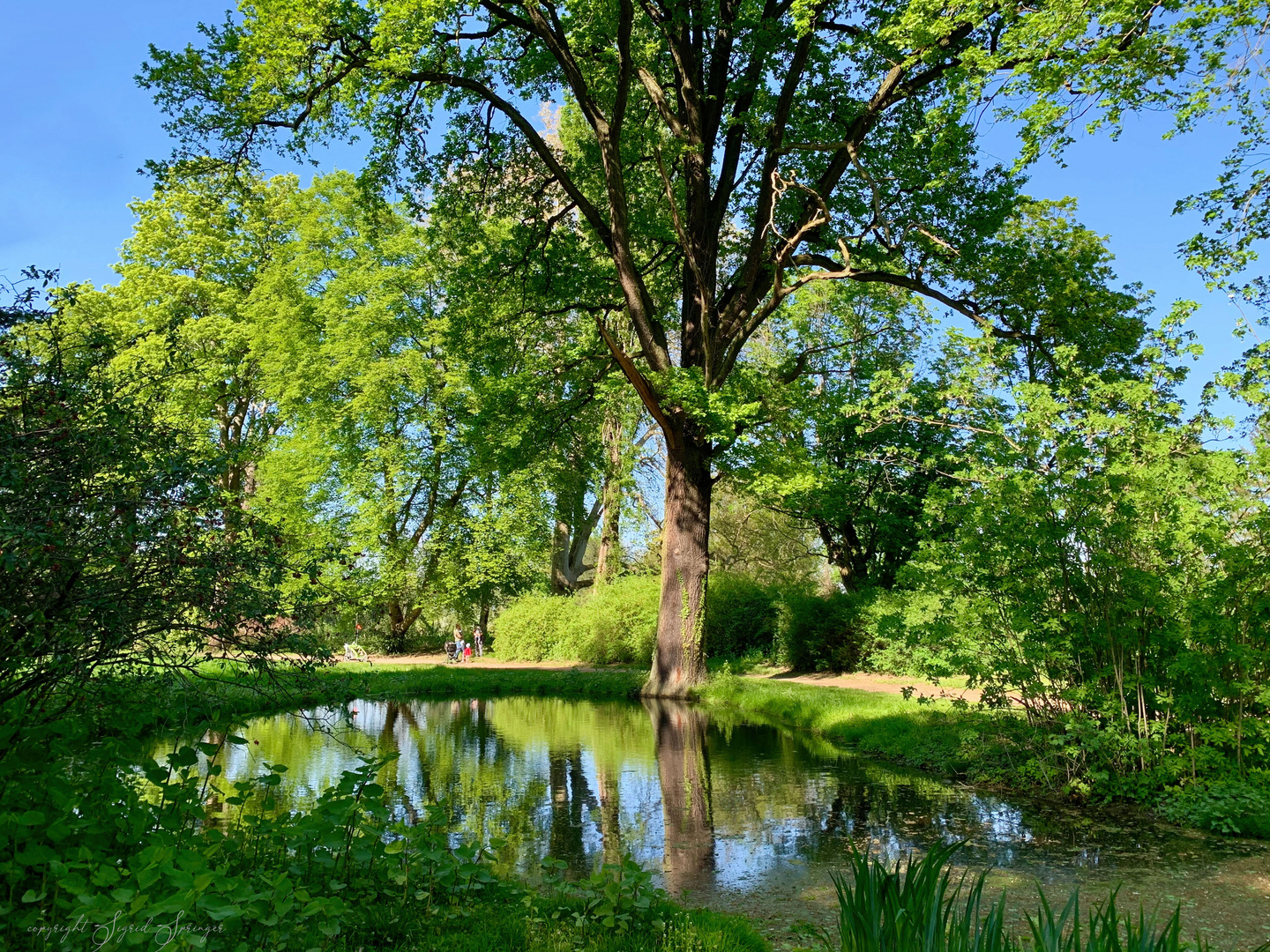 Natur pur Foto & Bild | jahreszeiten, frühling, projekte Bilder auf ...