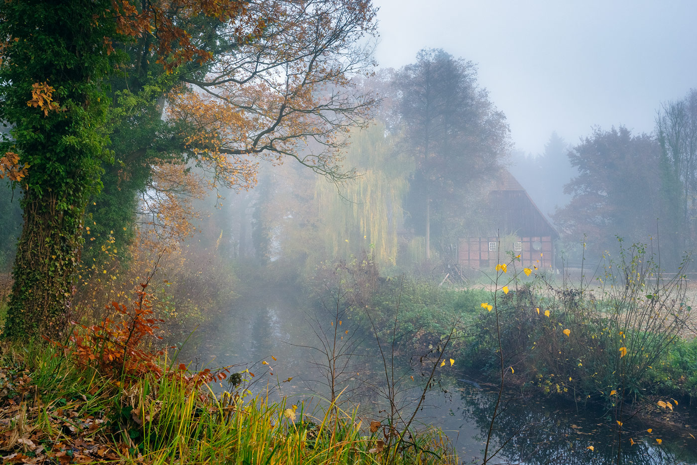 Natur pur Foto & Bild | landschaft, bach, fluss & see, nebelstimmungen ...