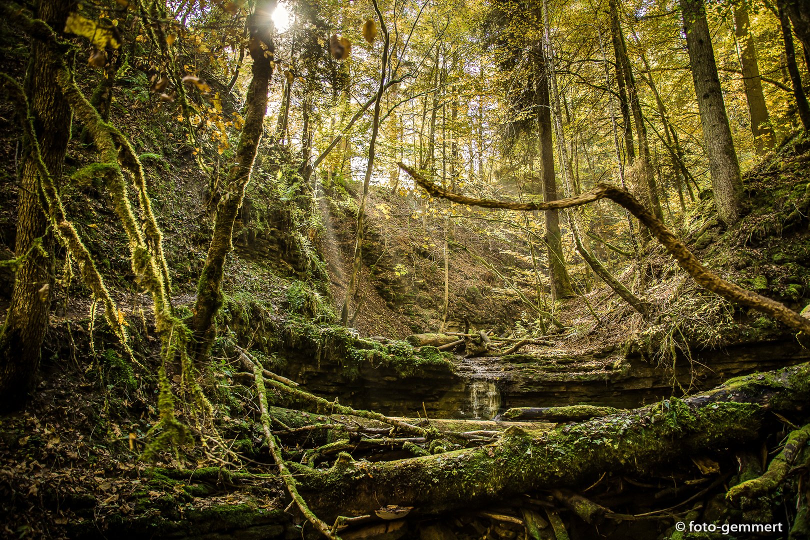 Natur-pur Foto & Bild | landschaft, wald, fotos Bilder auf fotocommunity