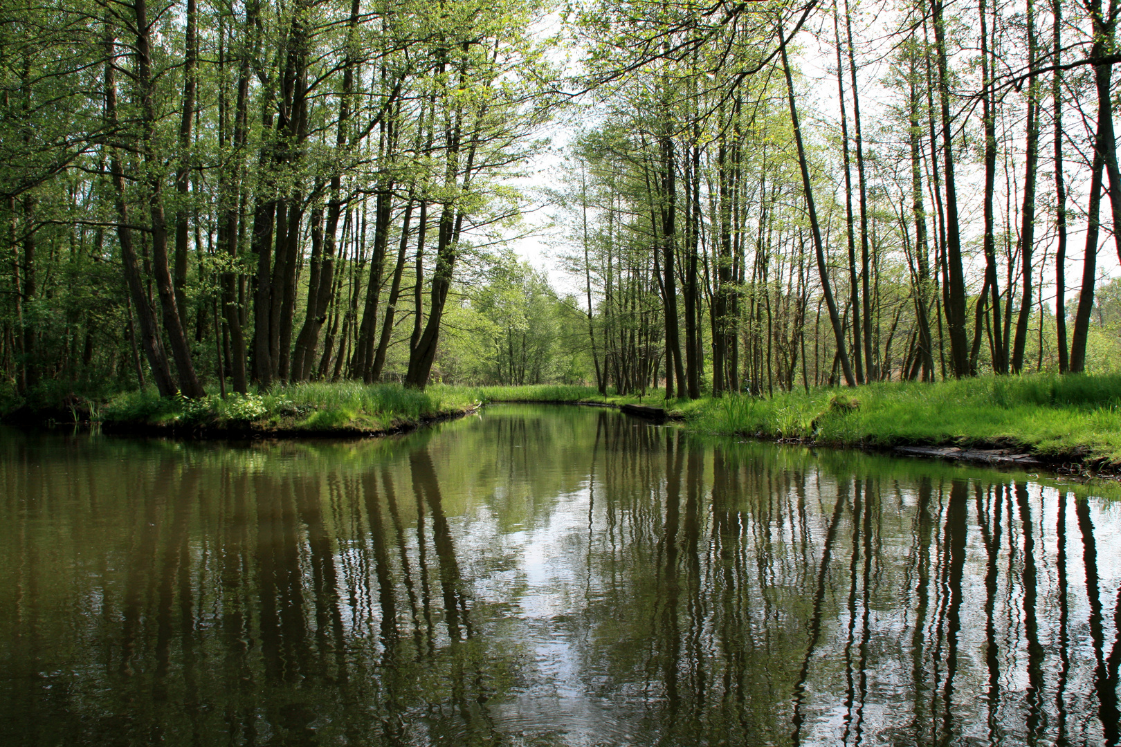 Natur pur... Foto & Bild | deutschland, europe, brandenburg Bilder auf ...