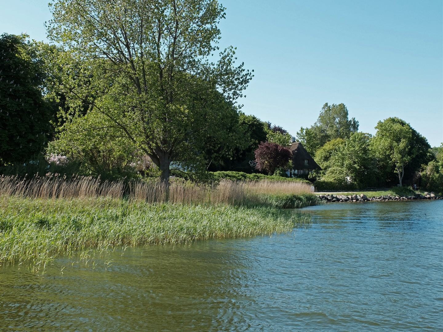 Natur Pur ! Foto & Bild | deutschland, europe, schleswig- holstein ...