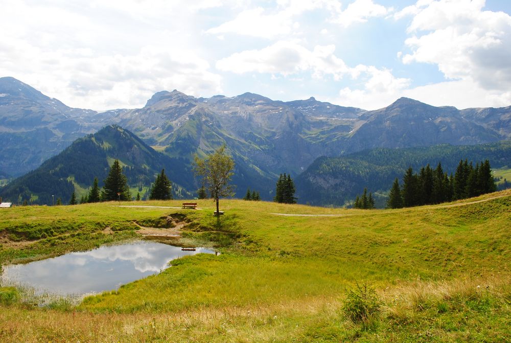 Natur pur! - Bild & Foto von chrisee38 aus Natur - photokina ...