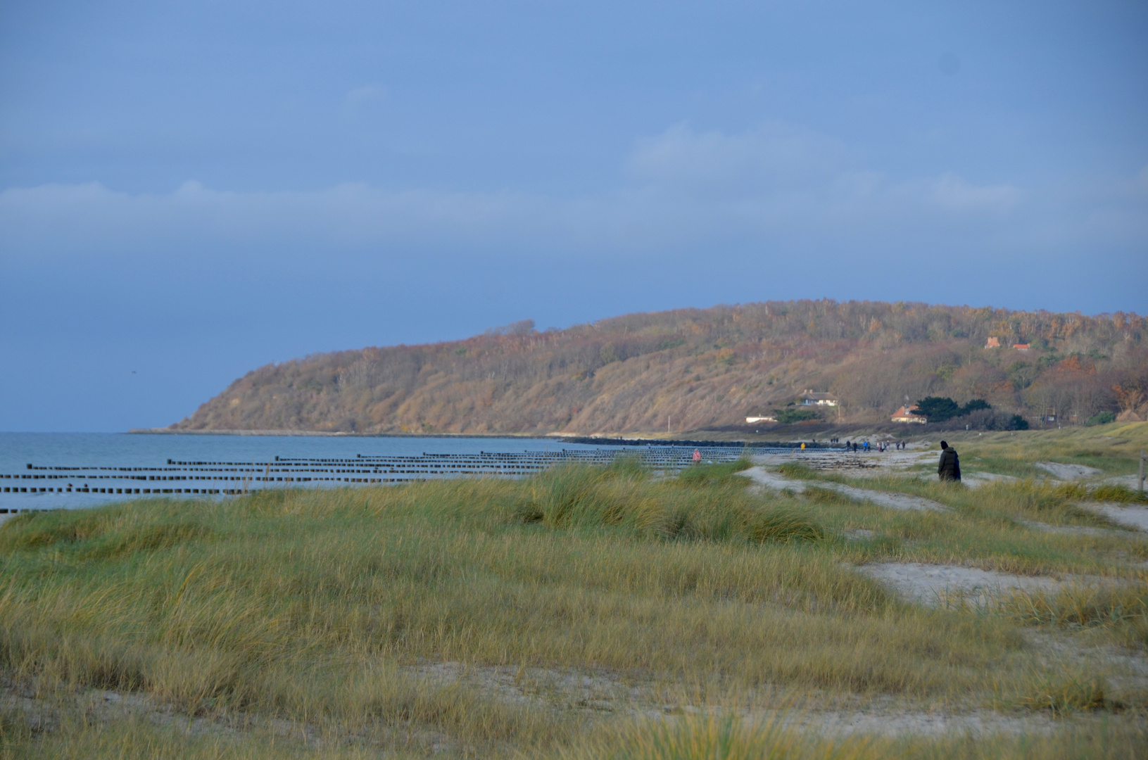 Natur-strand Insel Hiddensee Foto & Bild | deutschland, europe ...