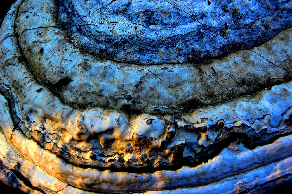 natur struktur Foto & Bild | natur-kreativ, natur Bilder auf fotocommunity