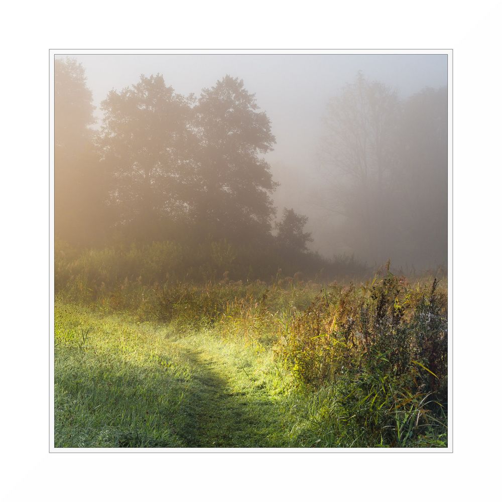 Natur und Stille Foto & Bild | bäume, sonnenaufgang, stille Bilder auf ...