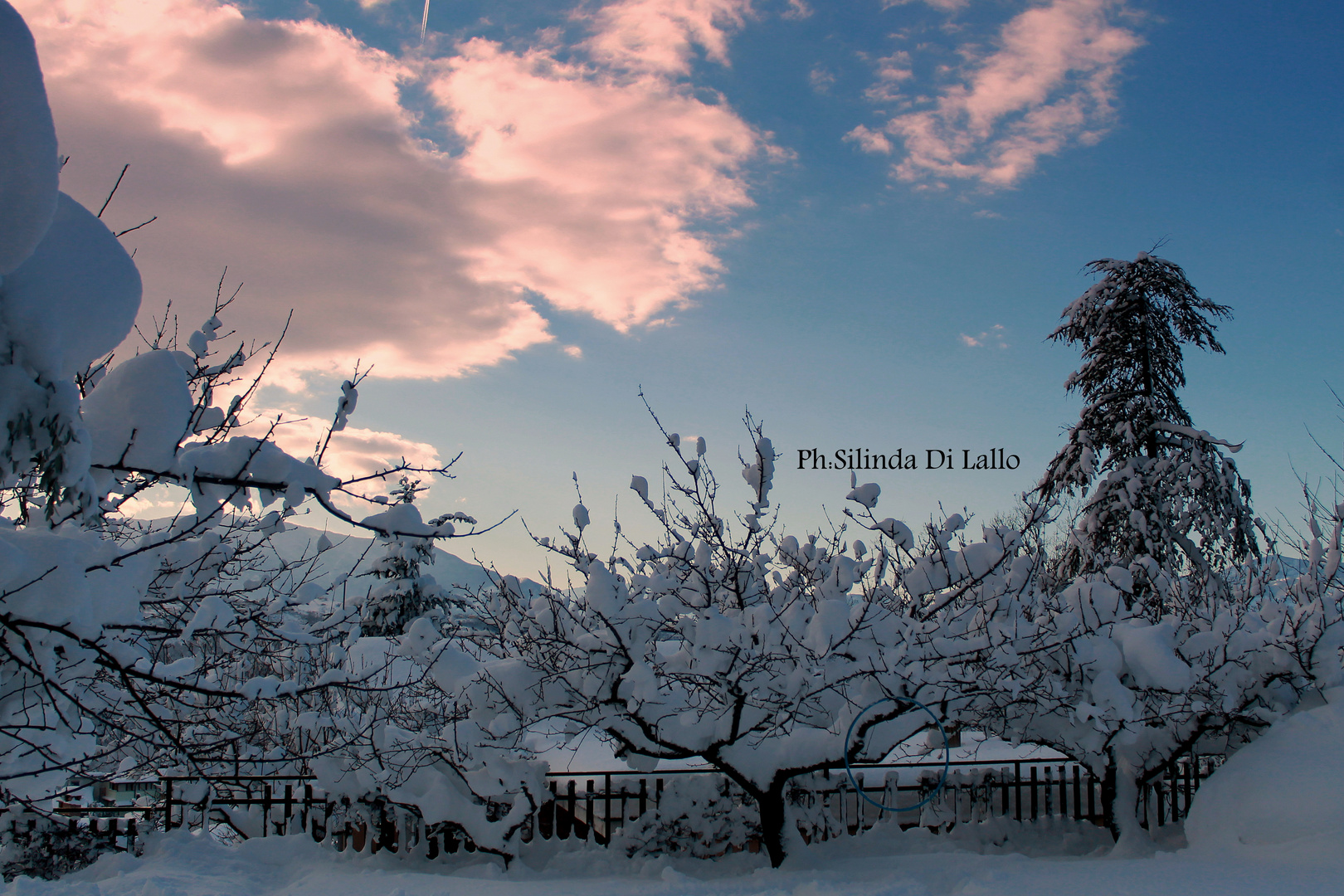 Natura innevata Foto % Immagini| natura Foto su fotocommunity