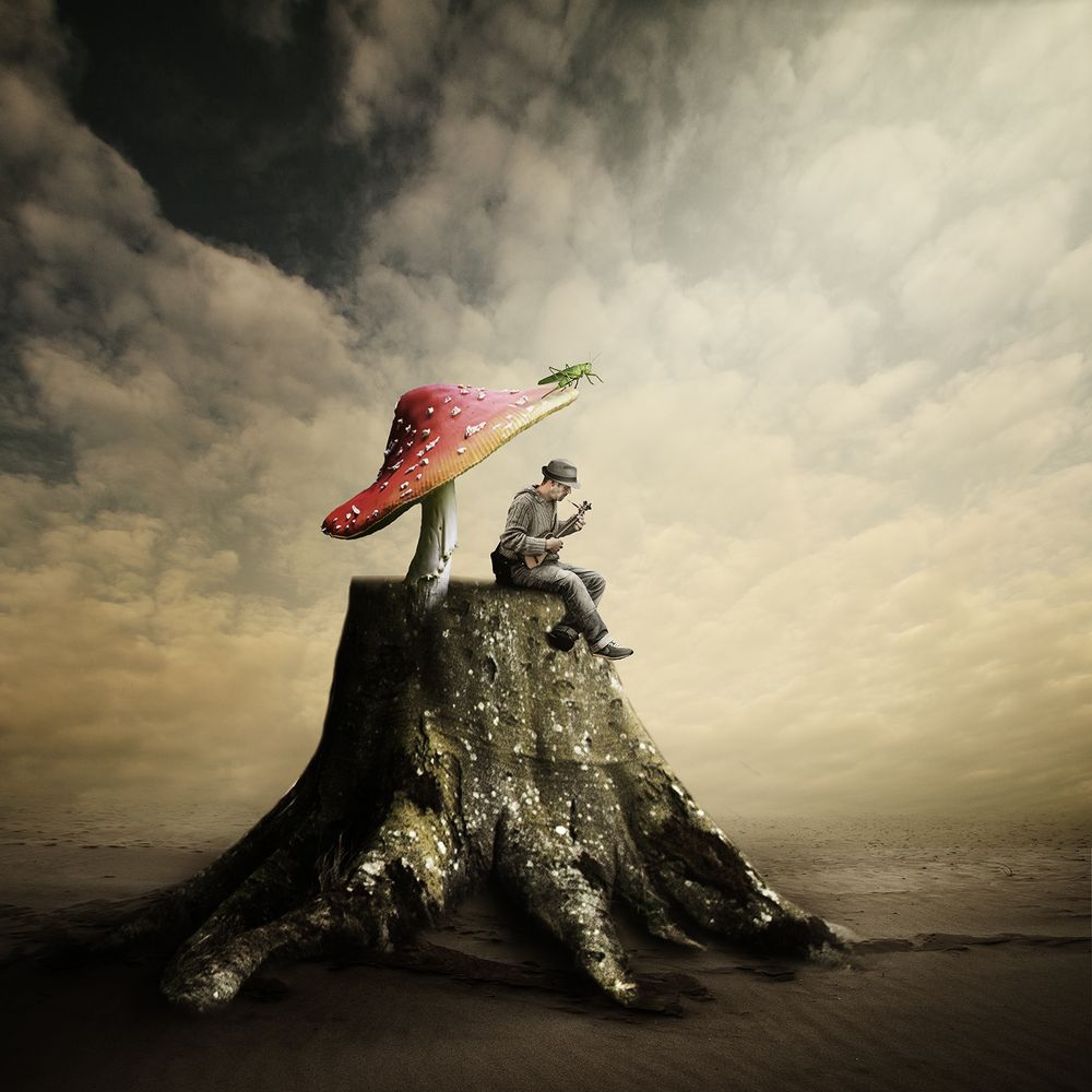 Naturbühne Foto & Bild | fotomontage, composing , surreal Bilder auf fotocommunity