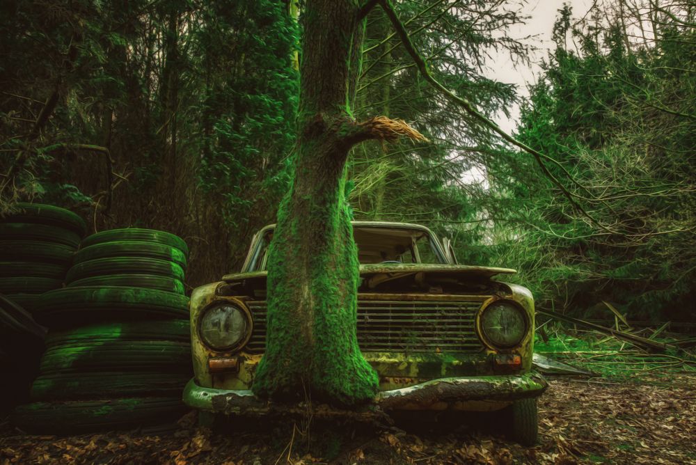Nature Car Foto & Bild | autos & zweiräder, oldtimer youngtimer ...