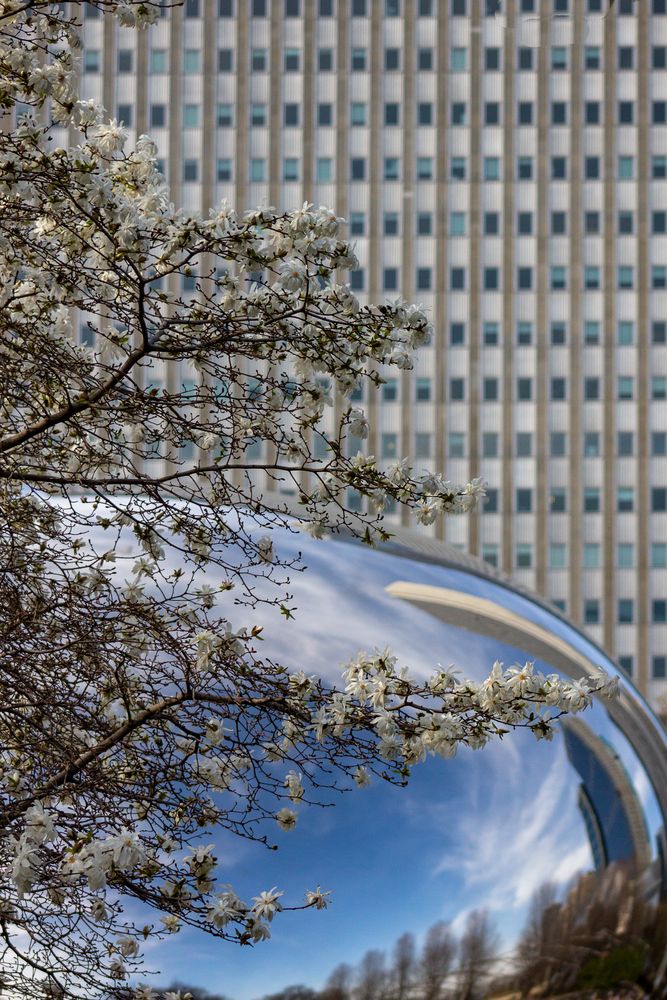 Nature Overlapping Foto & Bild | city, park, street Bilder auf ...