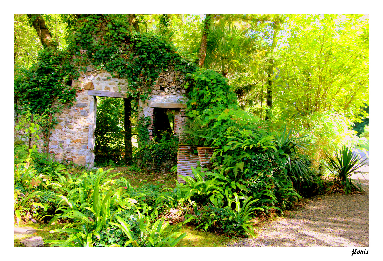 nature verte photo et image | nature Images fotocommunity