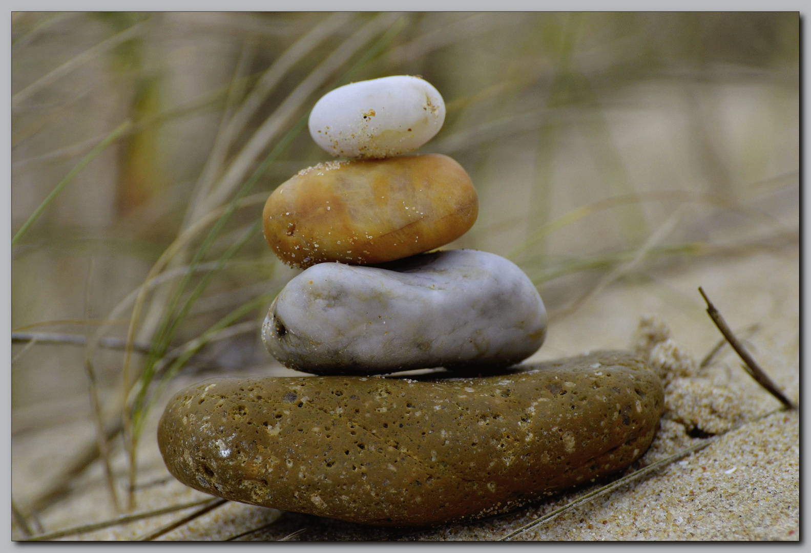 Nature zen photo et image | nature abstraite, capteur couleurs, nature ...