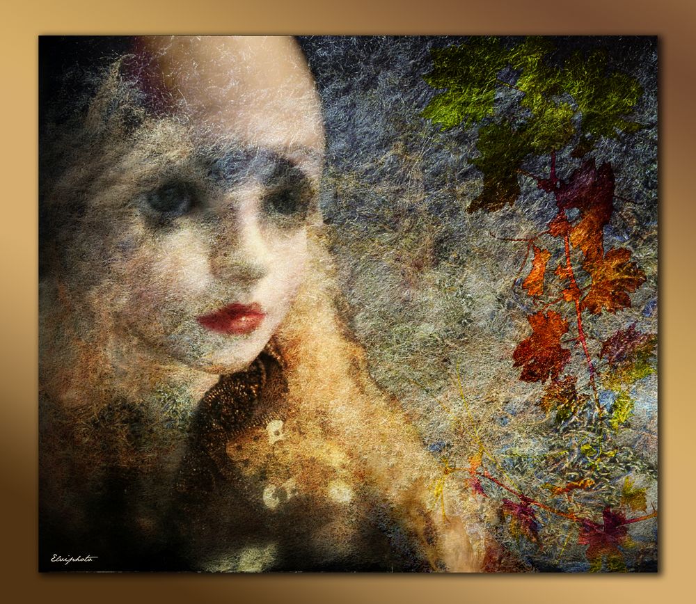 Natures' metamorphosis photo et image | portrait, digiart, collage ...