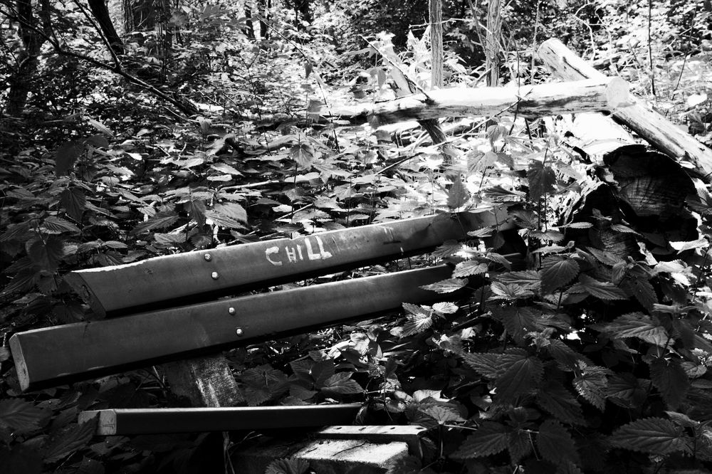 nature's recapture - Bild & Foto von Big Honeycakehorse aus photokina ...