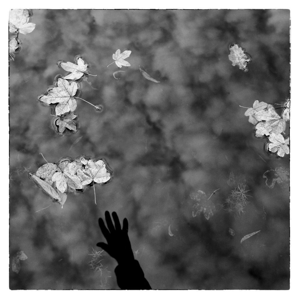 NaturNah Foto & Bild | fotos, dokumentation, wasser Bilder auf ...