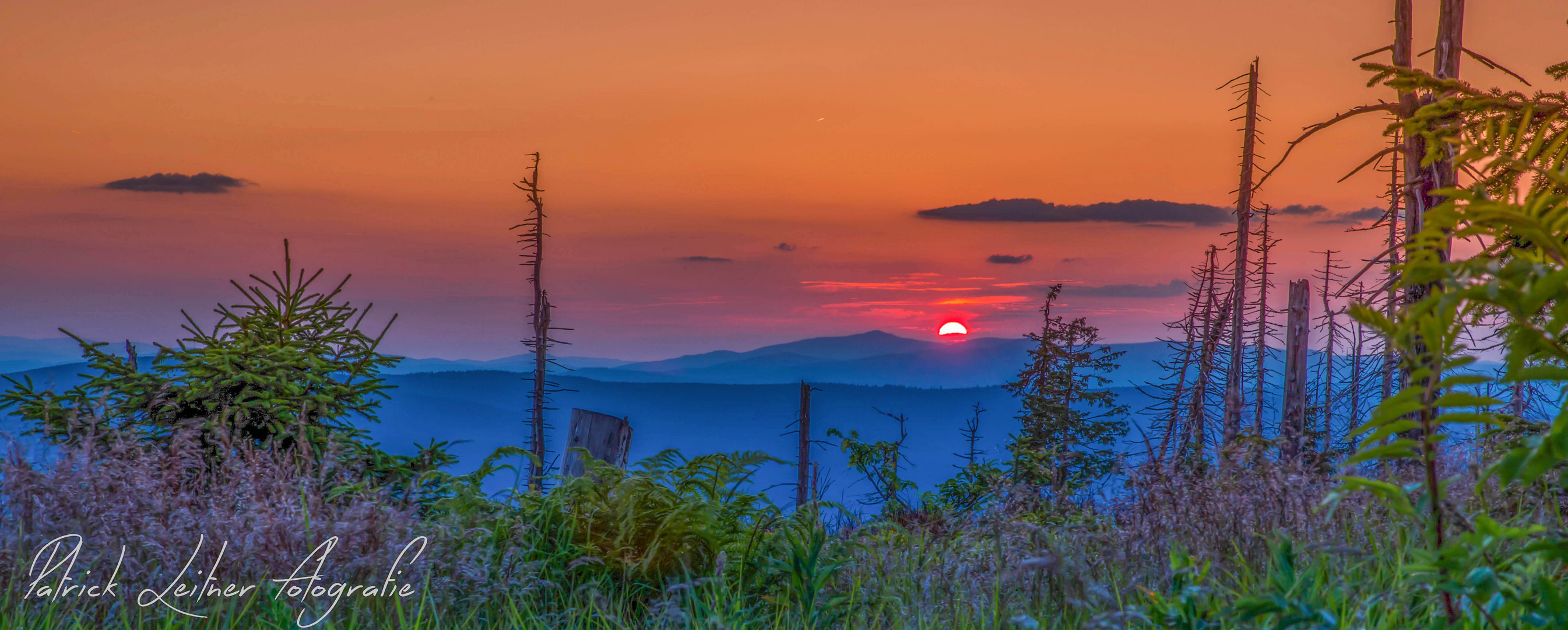 Naturparadies Bayerischer Wald Foto & Bild | landschaft, rückkehr der ...