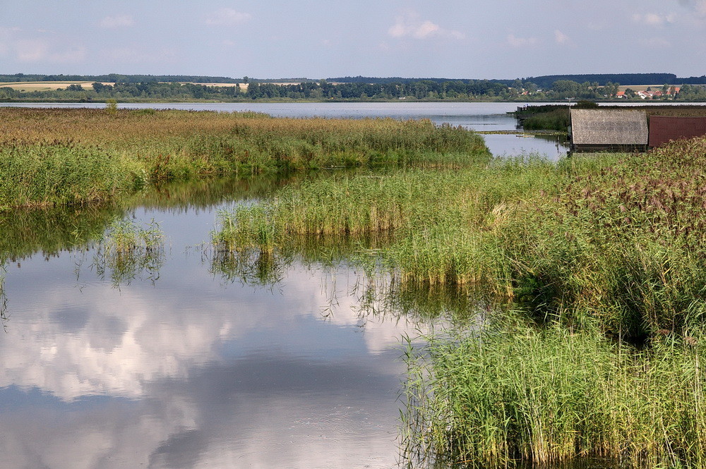 Naturparadies Federsee Foto & Bild | landschaft, bach, fluss & see, see ...