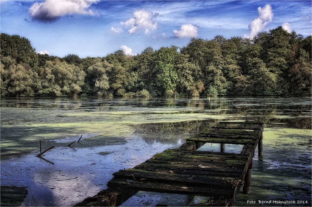Naturpark Schwalm ... Nette Foto & Bild | deutschland, europe ...