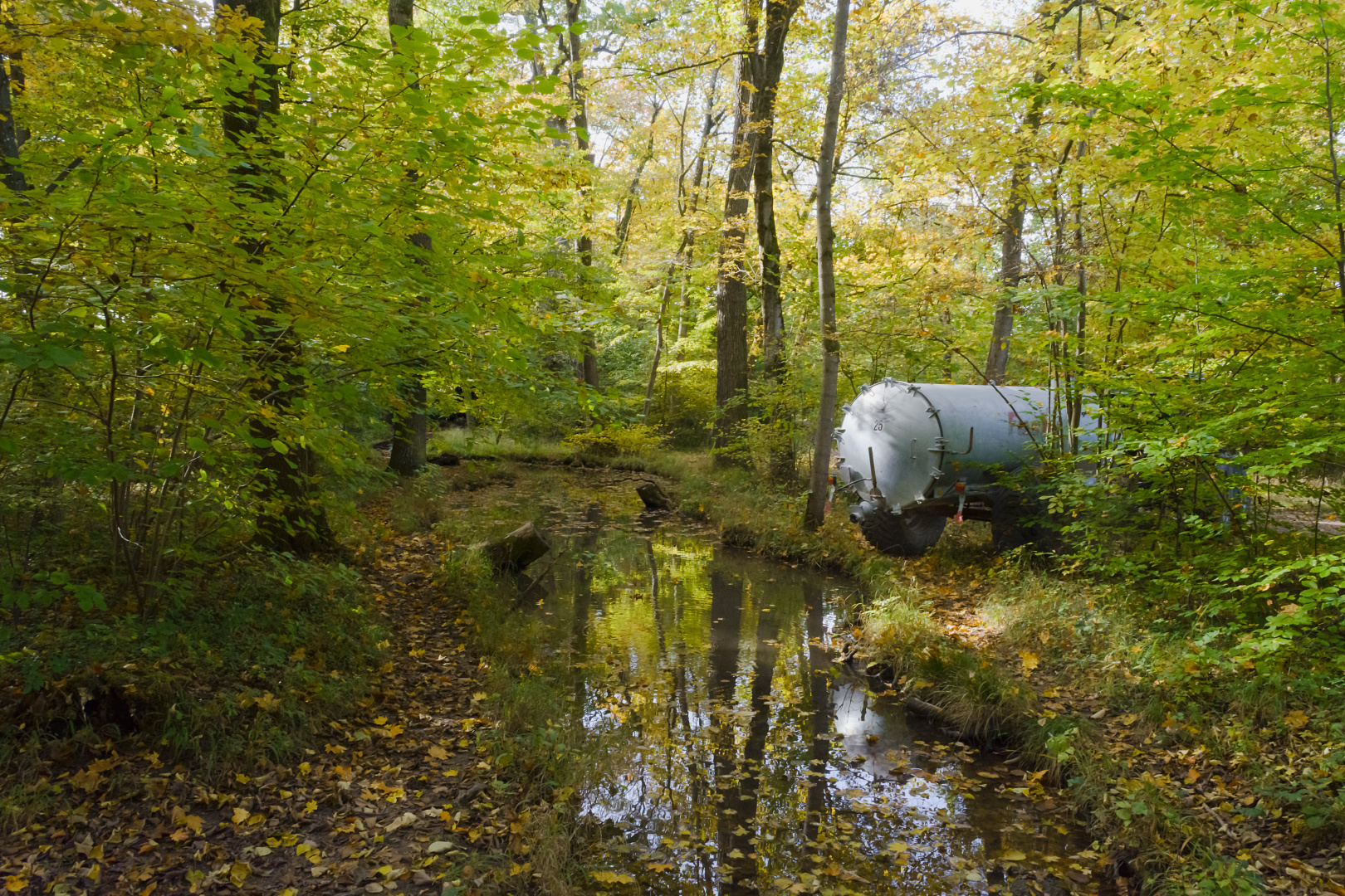 Naturschutz Foto & Bild | landschaft, bach, fluss & see, bachläufe ...