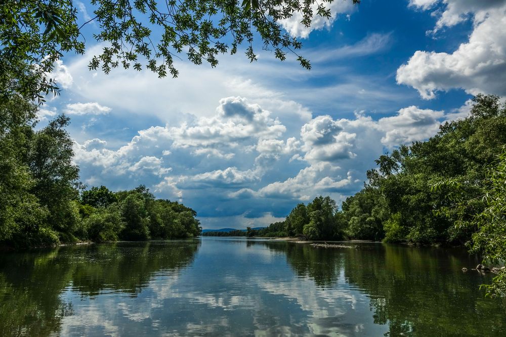 Naturschutzgebiet am Rhein Foto & Bild | landschaft, lebensräume, bach ...