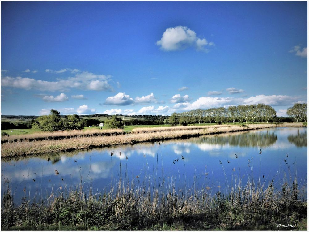 Naturschutzgebiet am Rhein Foto & Bild | landschaft, projekte, 2 ...