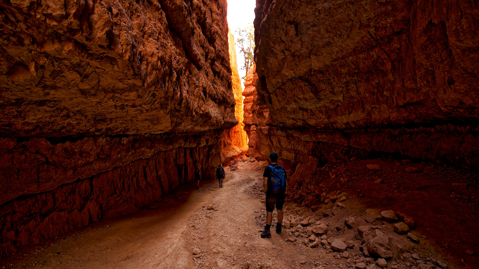 Navajo Trail Foto & Bild | north america, united states, national parks ...
