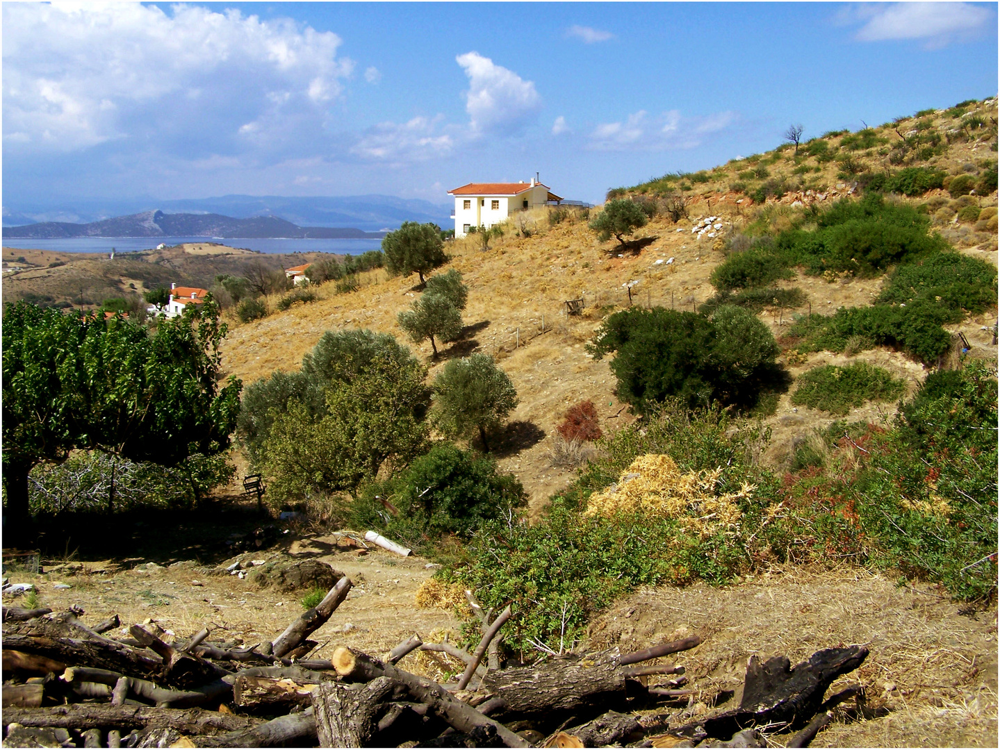 Nea Styra Foto & Bild | world, griechenland, europe Bilder auf ...