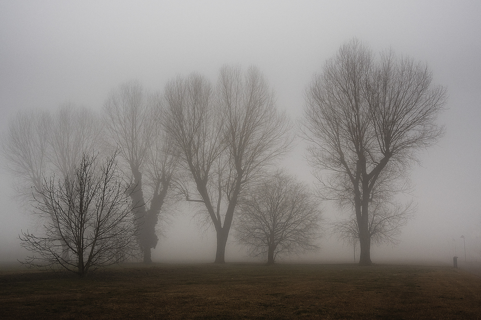 Nebbia Foto % Immagini| fotos, italy, photography Foto su fotocommunity