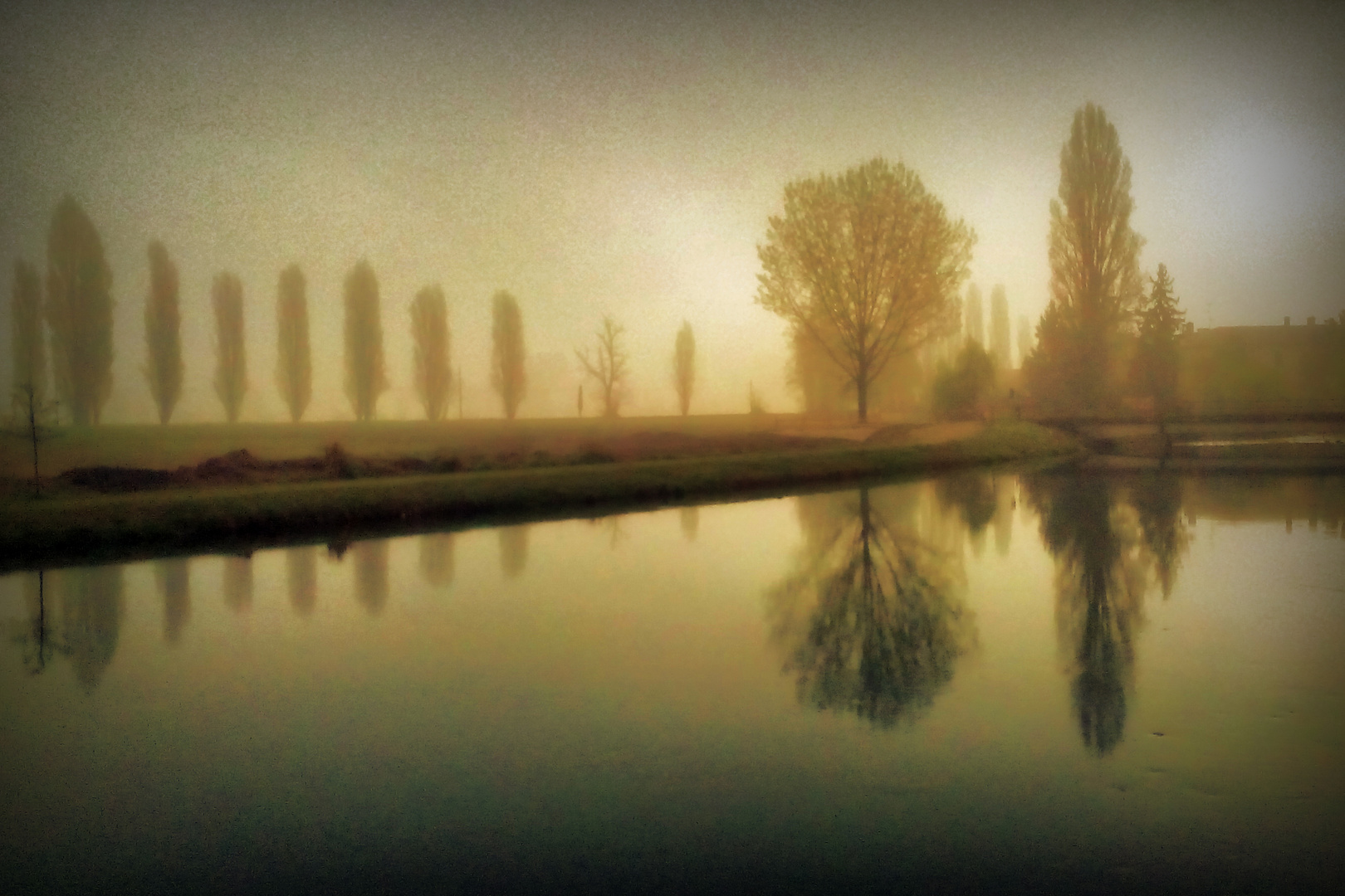 nebbia in Val Padana Foto % Immagini| paesaggi, campagna, muzza Foto su ...