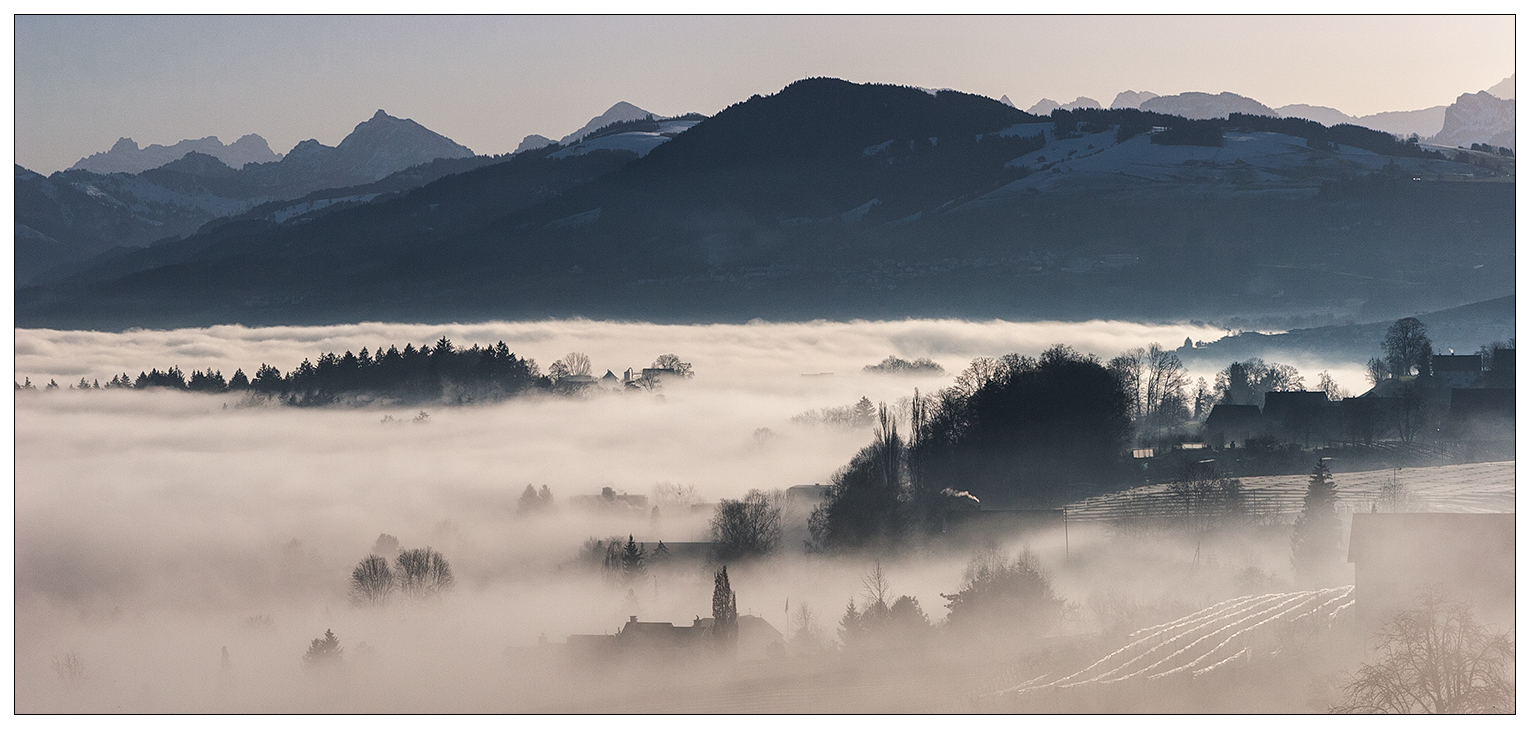Nebel Foto & Bild | bäume, natur, schweiz Bilder auf fotocommunity