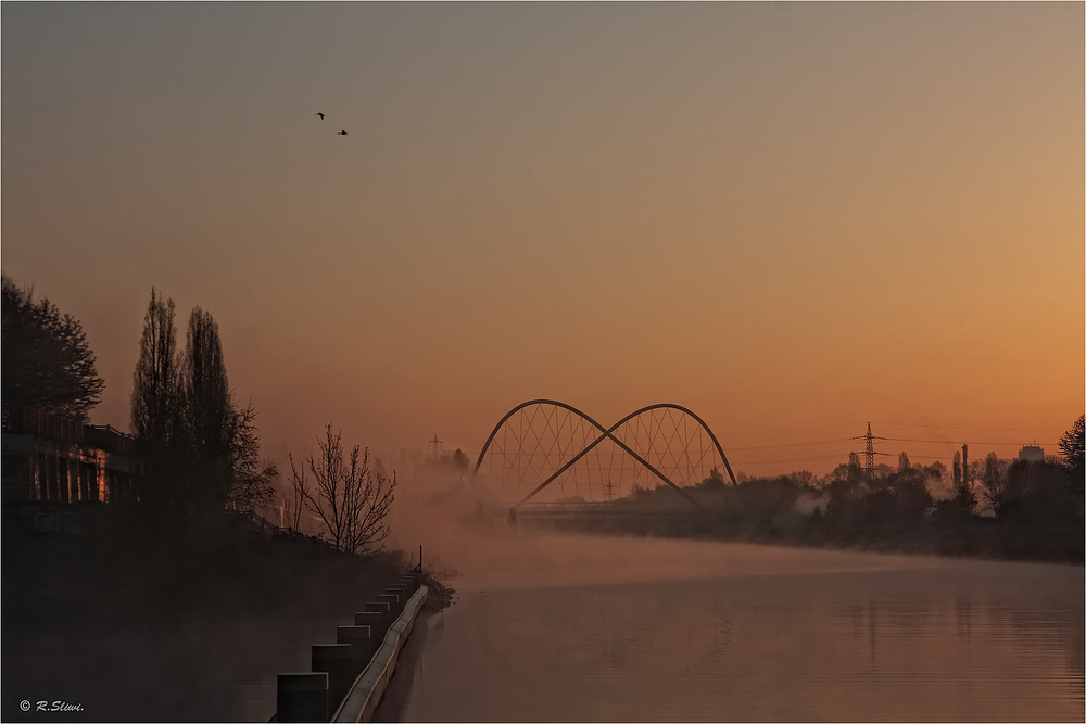 Nebel Foto & Bild | deutschland, europe, nordrhein- westfalen Bilder ...