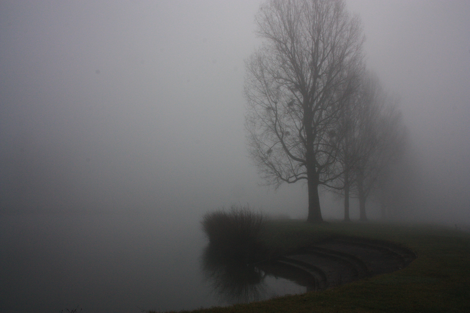 Nebel 2 Foto & Bild | jahreszeiten, winter, landschaft Bilder auf fotocommunity