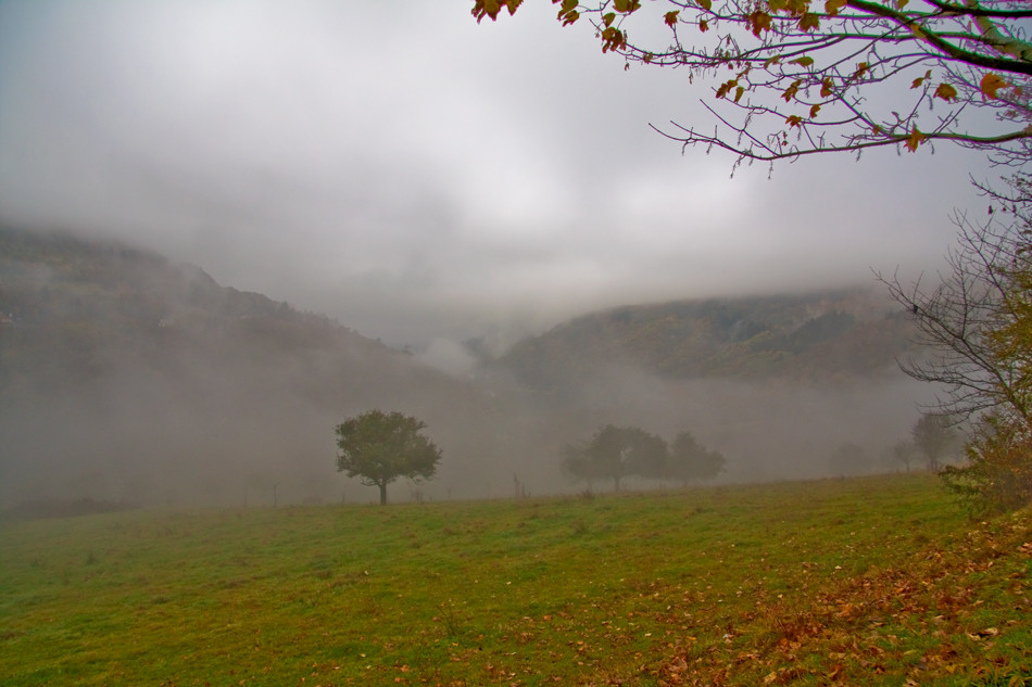 Nebel... Foto & Bild | deutschland, europe, baden- württemberg Bilder ...