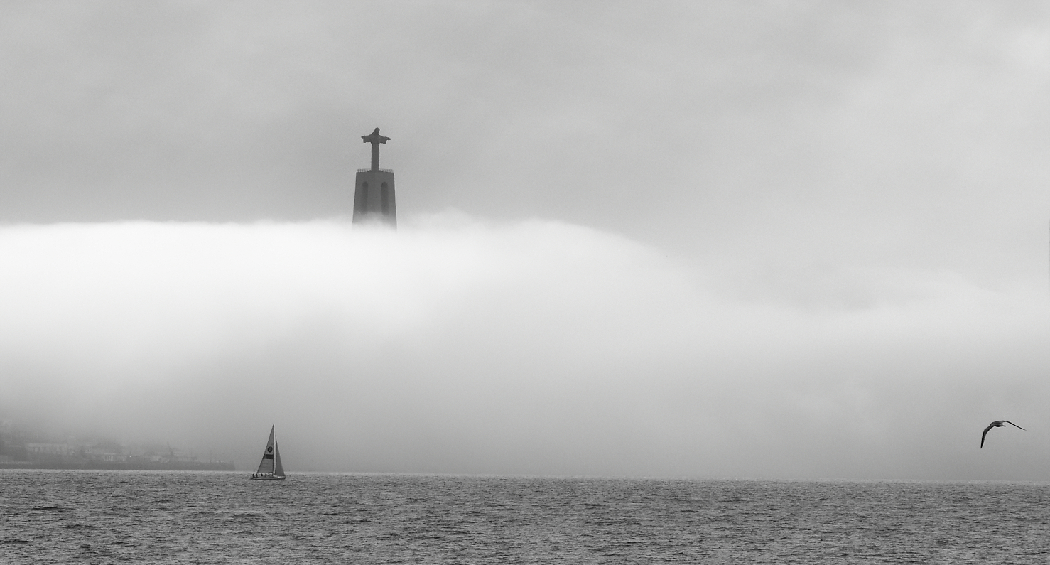 Nebel Foto & Bild | landschaft, fluss, möwe Bilder auf fotocommunity