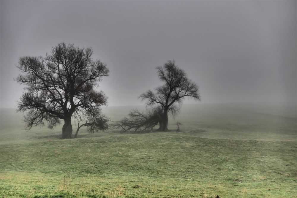 Nebel 4 Foto & Bild | nebelstimmungen, wetter, natur Bilder auf ...