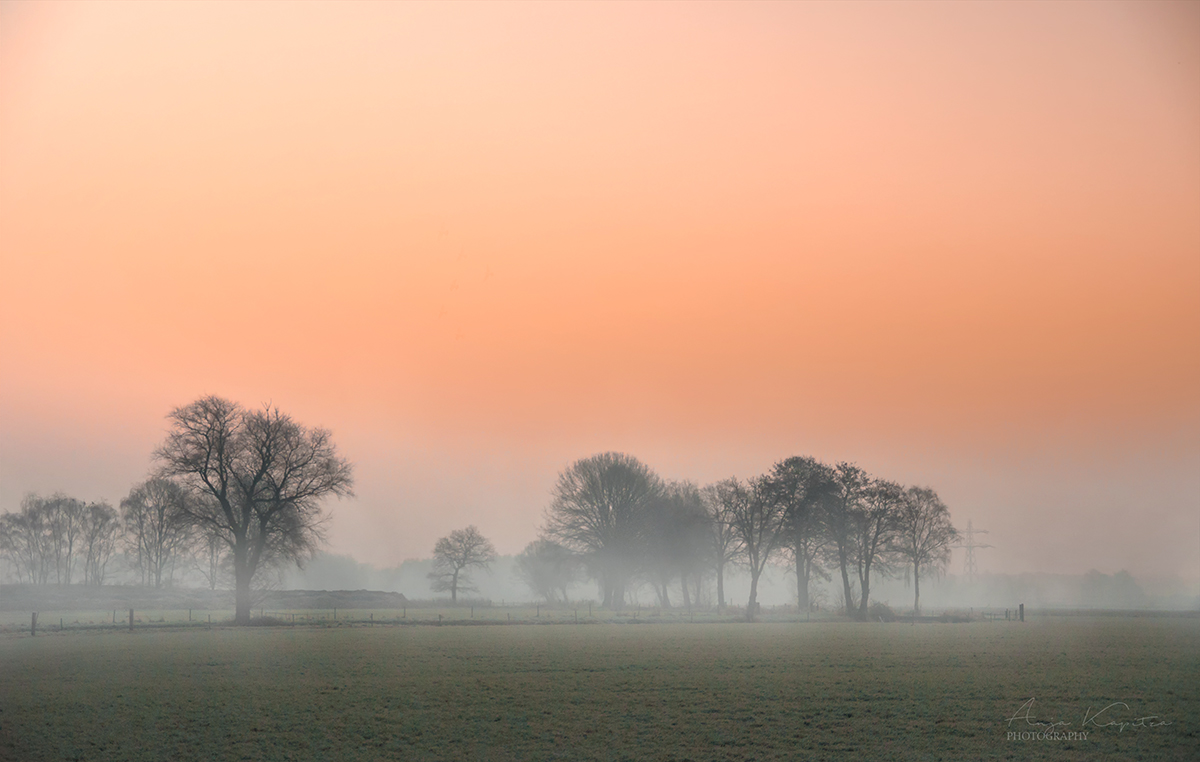 Nebel Foto & Bild | felder, landschaft, europe Bilder auf fotocommunity