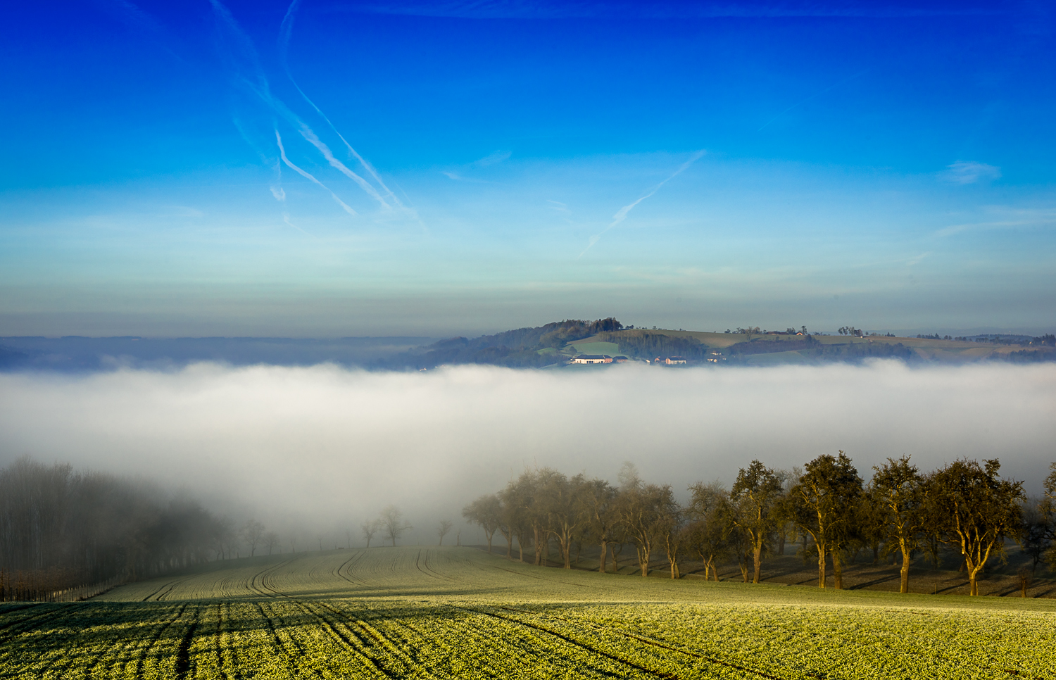 Nebel Foto & Bild | landschaft, Äcker, felder & wiesen, nebel landschaft Bilder auf fotocommunity