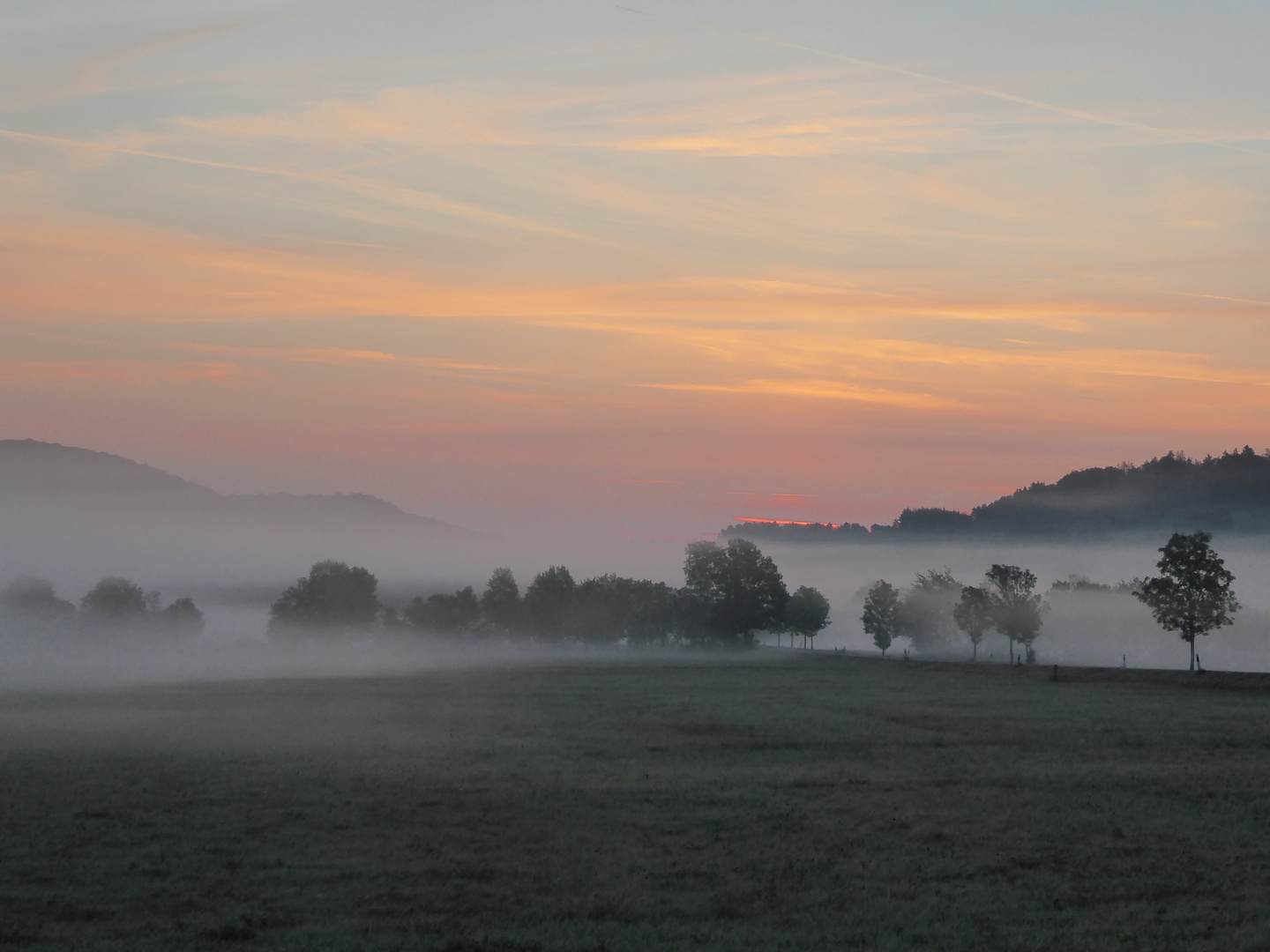 Nebel Foto & Bild | wetter, natur Bilder auf fotocommunity