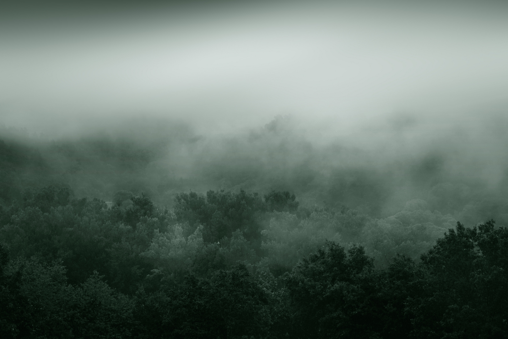 Nebel Foto & Bild | nebelstimmungen, wetter, natur Bilder auf fotocommunity