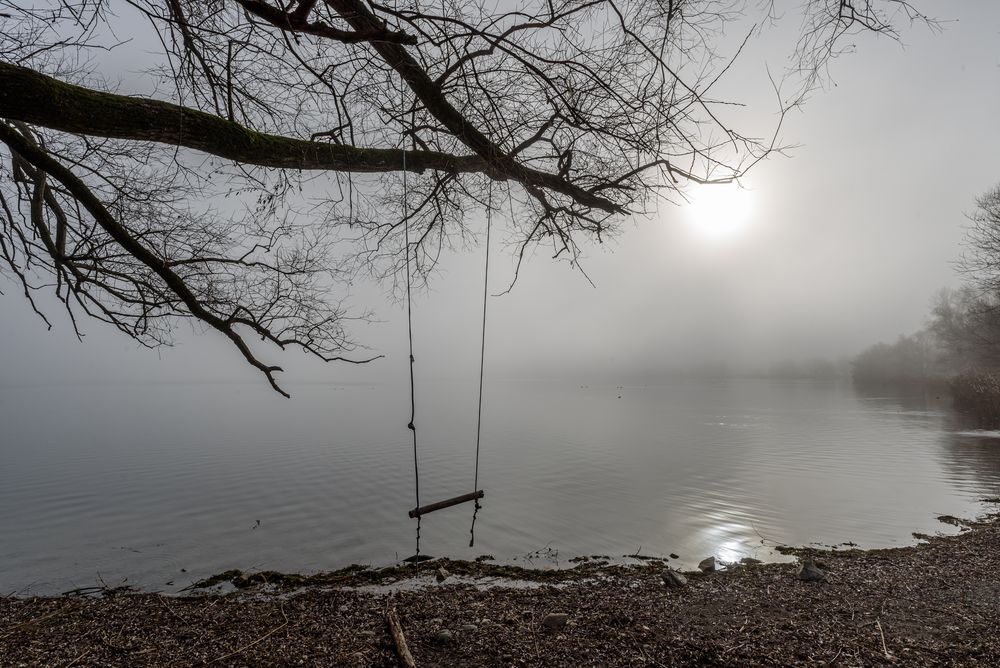 Nebel Foto & Bild | landschaft, jahreszeiten, herbst Bilder auf fotocommunity