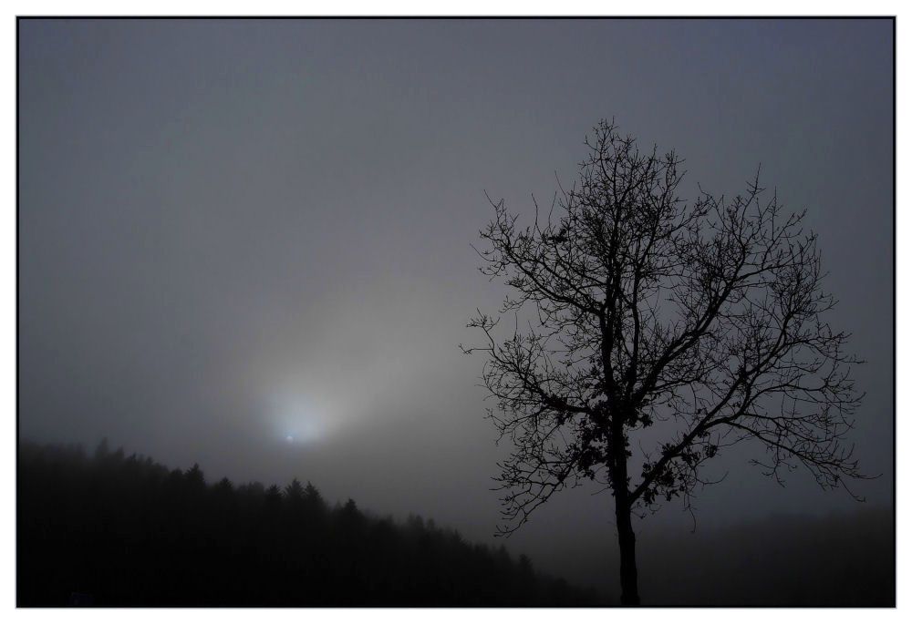 Nebel.. - Bild & Foto von Basstelstunde aus DigitalPHOTO ...