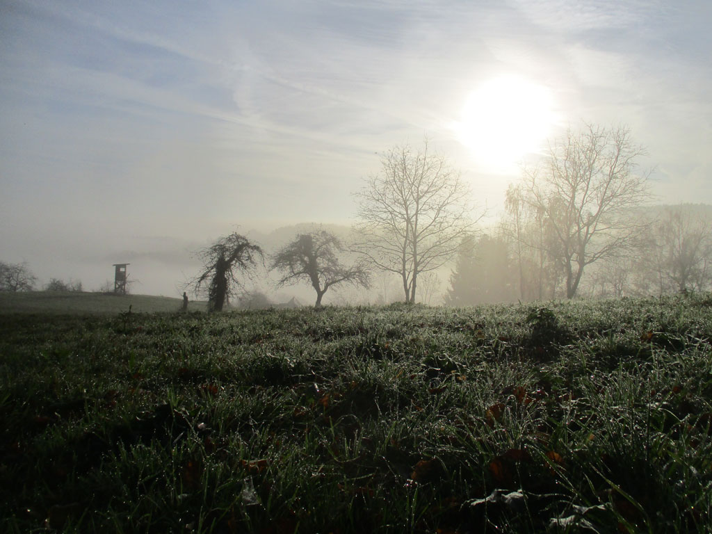 Nebel Foto & Bild | landschaften, reisen, natur, herbst Bilder auf fotocommunity