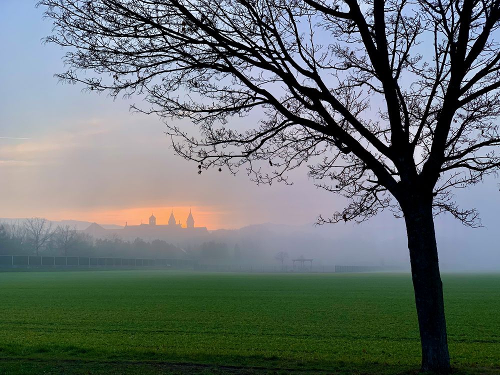 nebel Foto & Bild | nebelstimmungen, wetter, natur Bilder auf fotocommunity