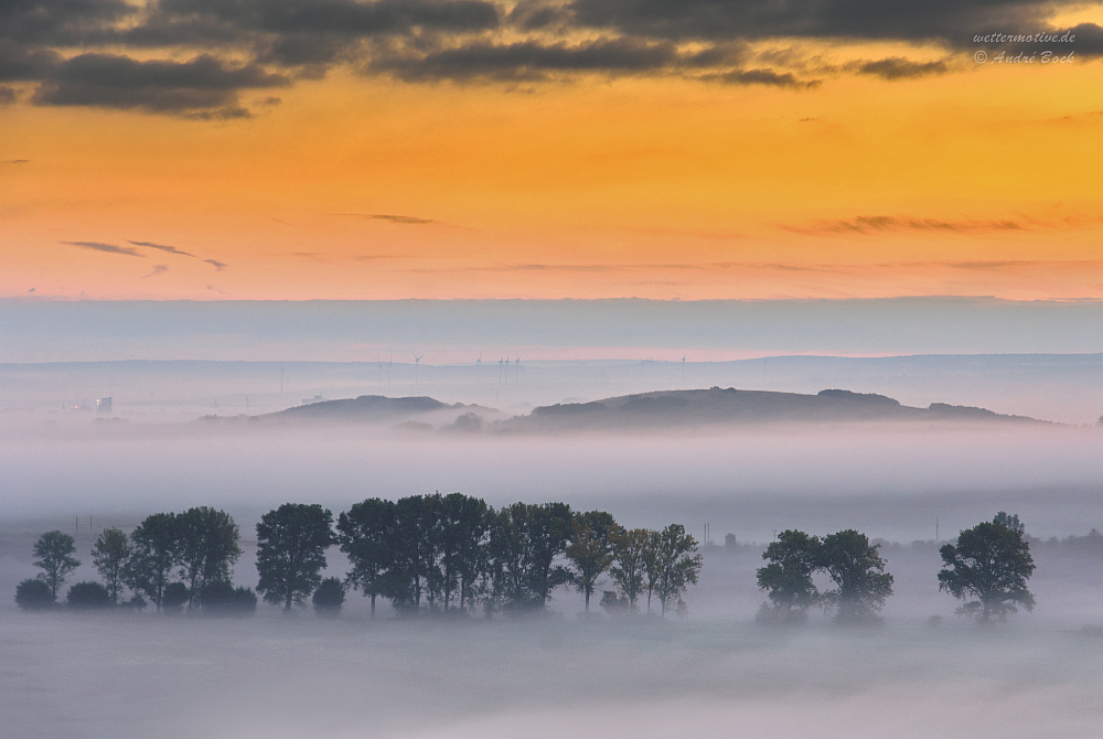Nebel Foto & Bild | sonnenaufgang, natur, landschaft Bilder auf fotocommunity