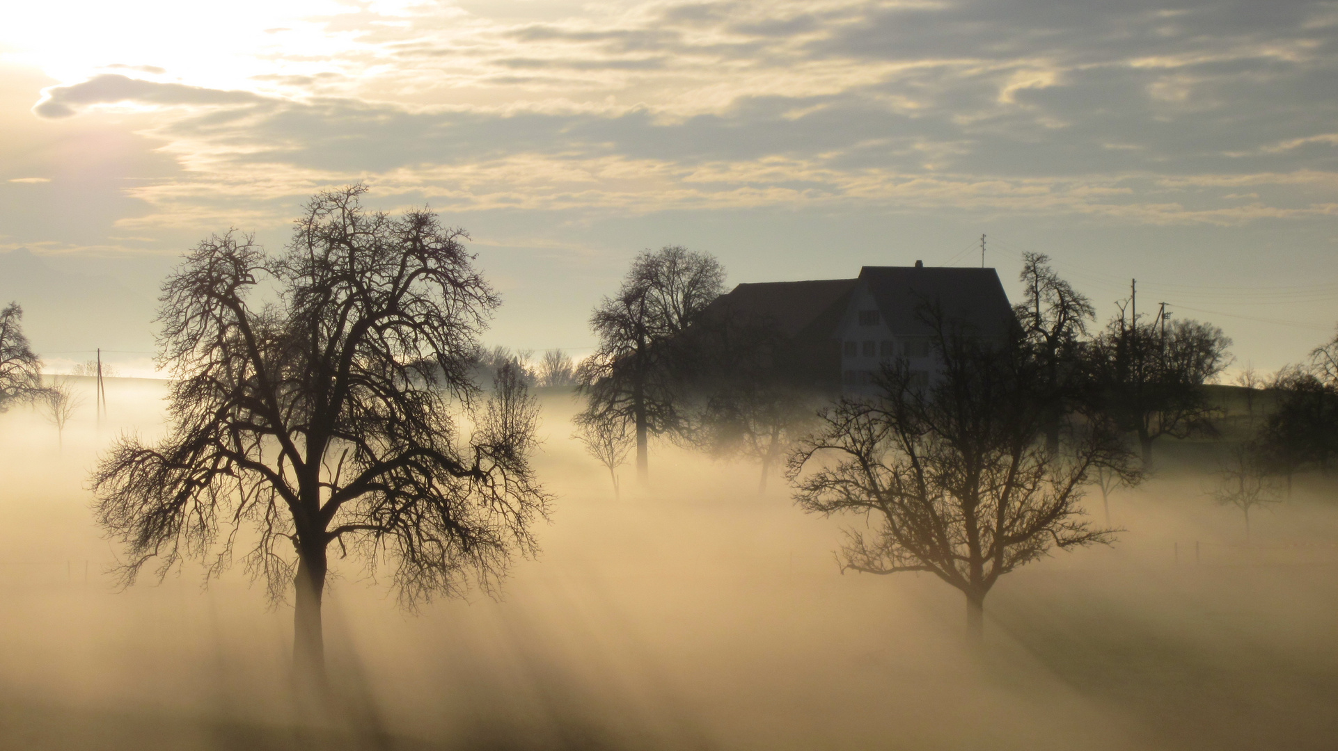 Nebel Foto & Bild | nebelstimmungen, wetter, natur Bilder auf fotocommunity